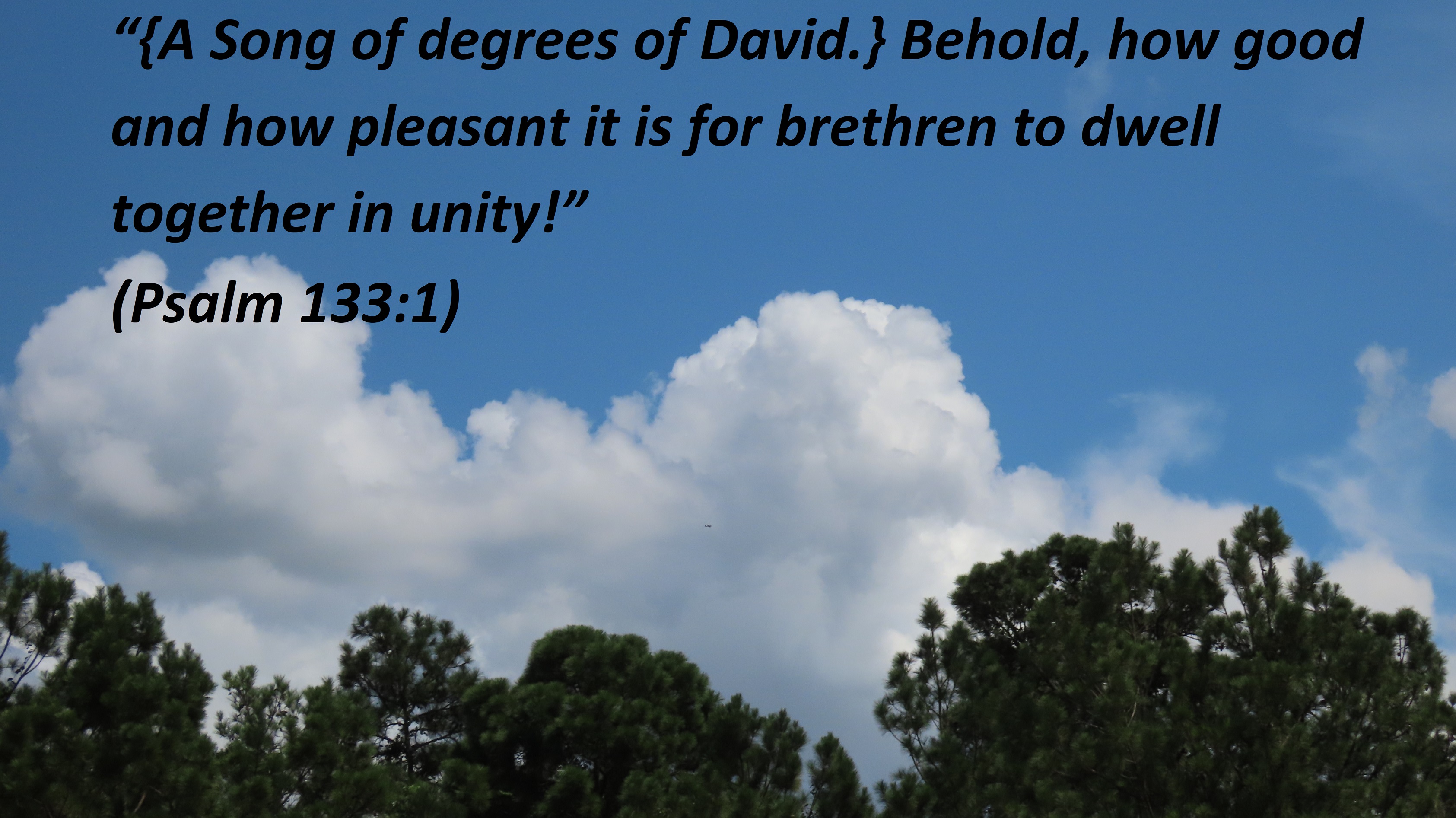 “The Excellency Of Brotherly Unity” – "Only Life Changes"